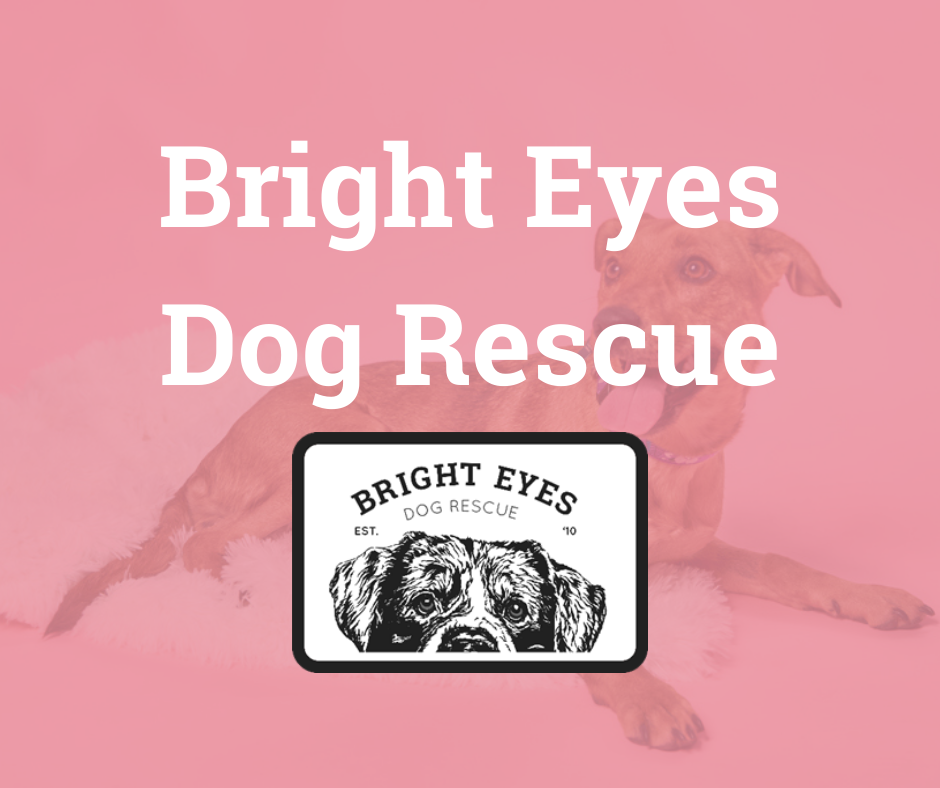 Home - Bright Eyes Dog Rescue